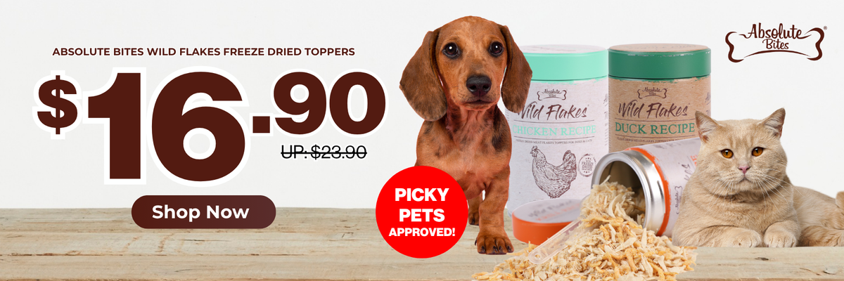 Polypet Singapore — Pet Shop in Clementi | Online & Retail Store