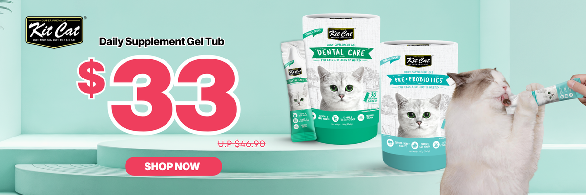 Polypet Singapore — Pet Shop in Clementi | Online & Retail Store