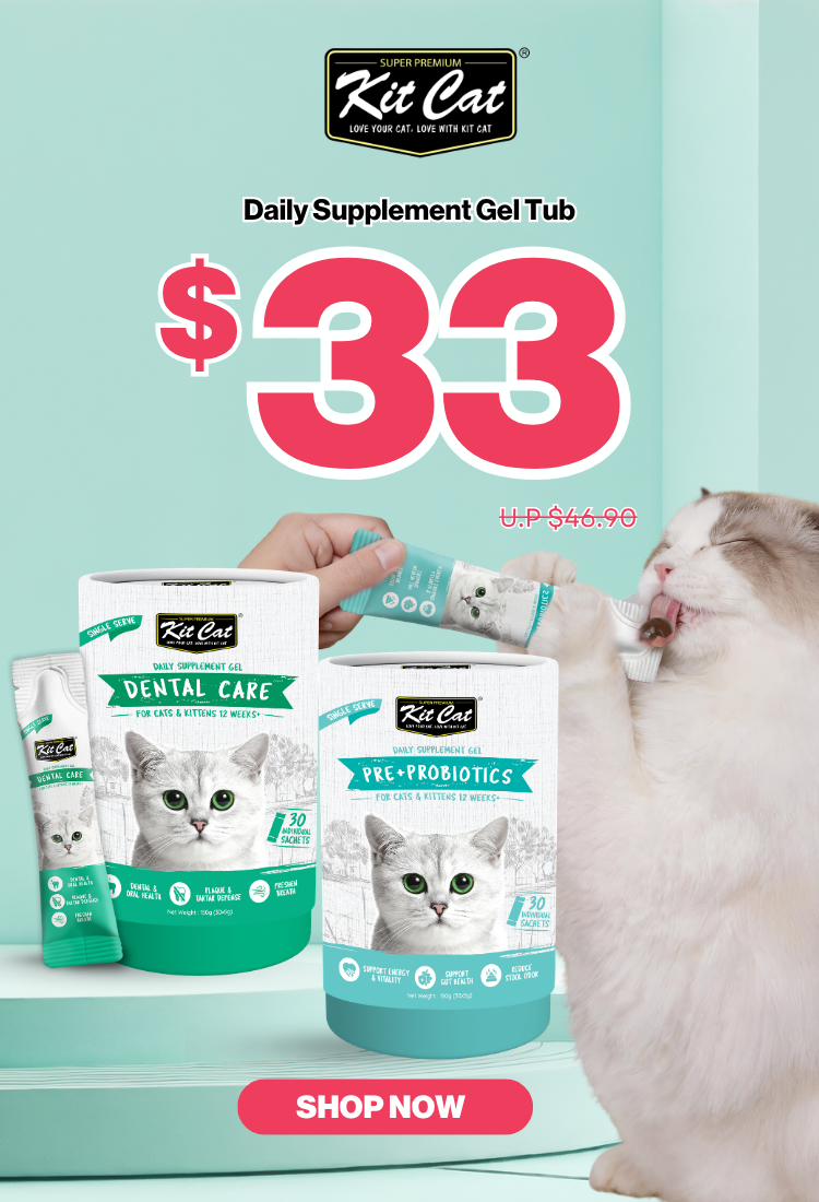 Polypet Singapore — Pet Shop in Clementi | Online & Retail Store